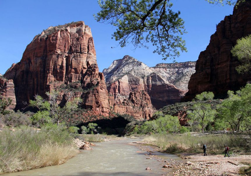 Zion National Park Current Conditions | Zion Ponderosa