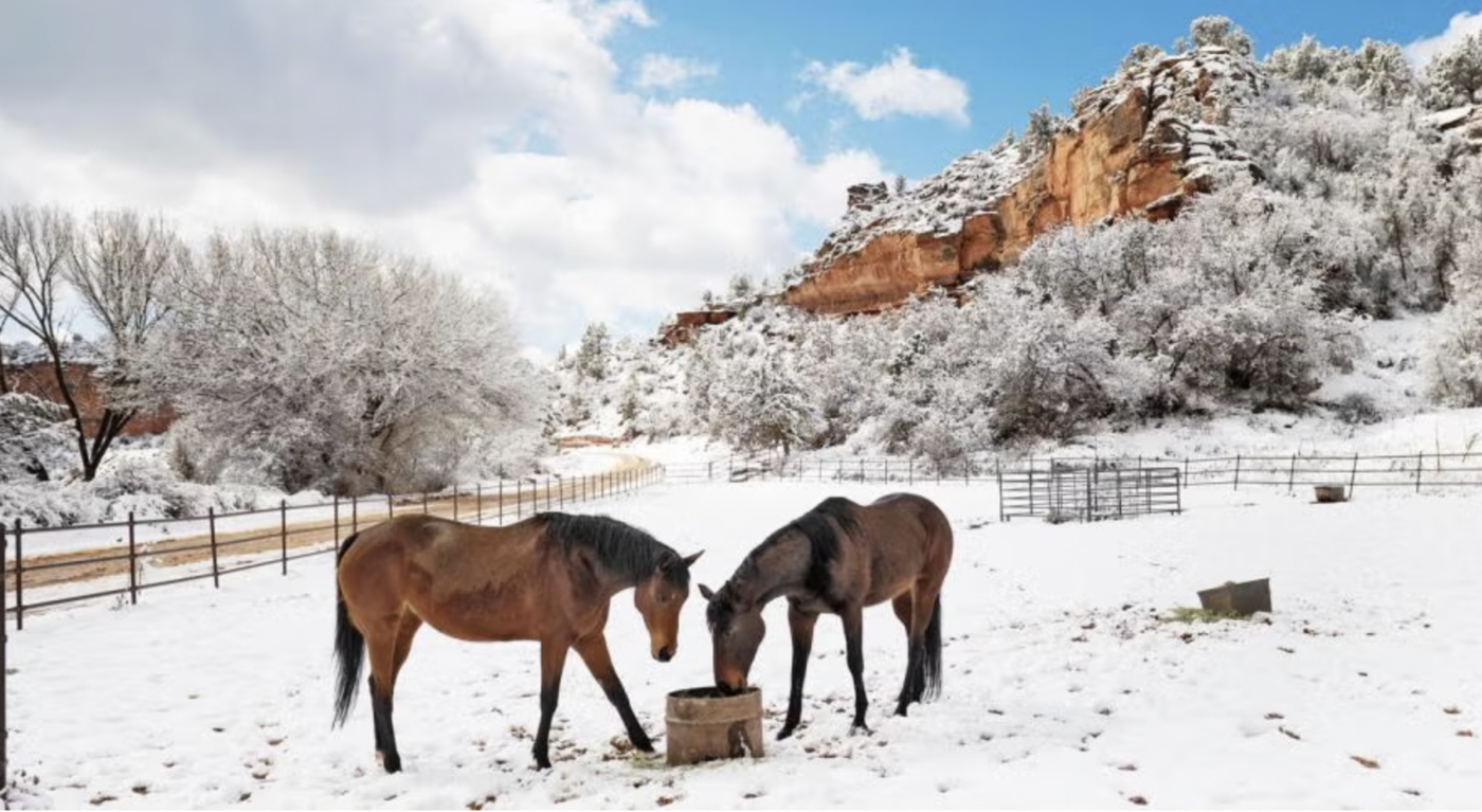 Zion Forever: Preserving The Legacy Of Zion National Park
